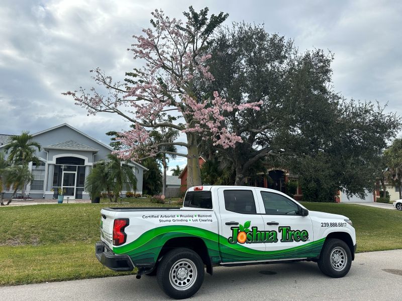 Canopy Check: How Tree Inspections Help Protect Your Roof This Storm Season